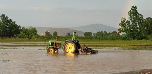 e-Agrotis.gr Αγροτική ενημέρωση, Aγροτικά νέα, Aγροτικές ειδήσεις 24/7 | e-Agrotis.gr Αγροτική ...
