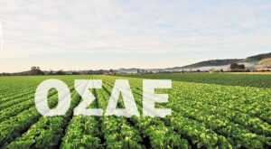 Aιτήσεις ΟΣΔΕ 2025 - Πώς θα υποβάλλονται μέσω gov.gr και ΚΥΔ | e ...