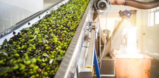 e-Agrotis.gr Αγροτική ενημέρωση, Aγροτικά νέα, Aγροτικές ειδήσεις 24/7 | e-Agrotis.gr Αγροτική ...